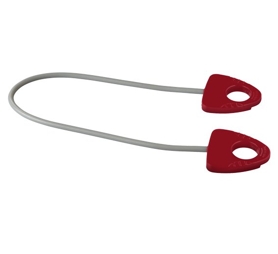 Bullet The Dolphin | PrintSimple